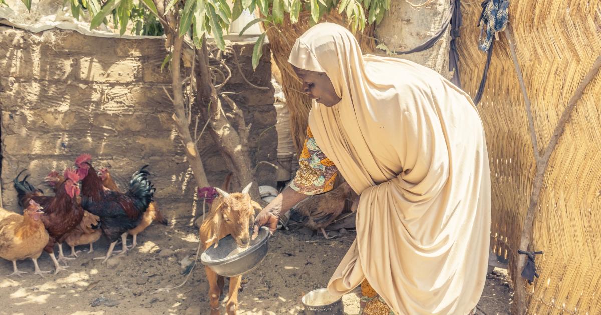 Finding ability in disability: Conflict affected family empowered to ...